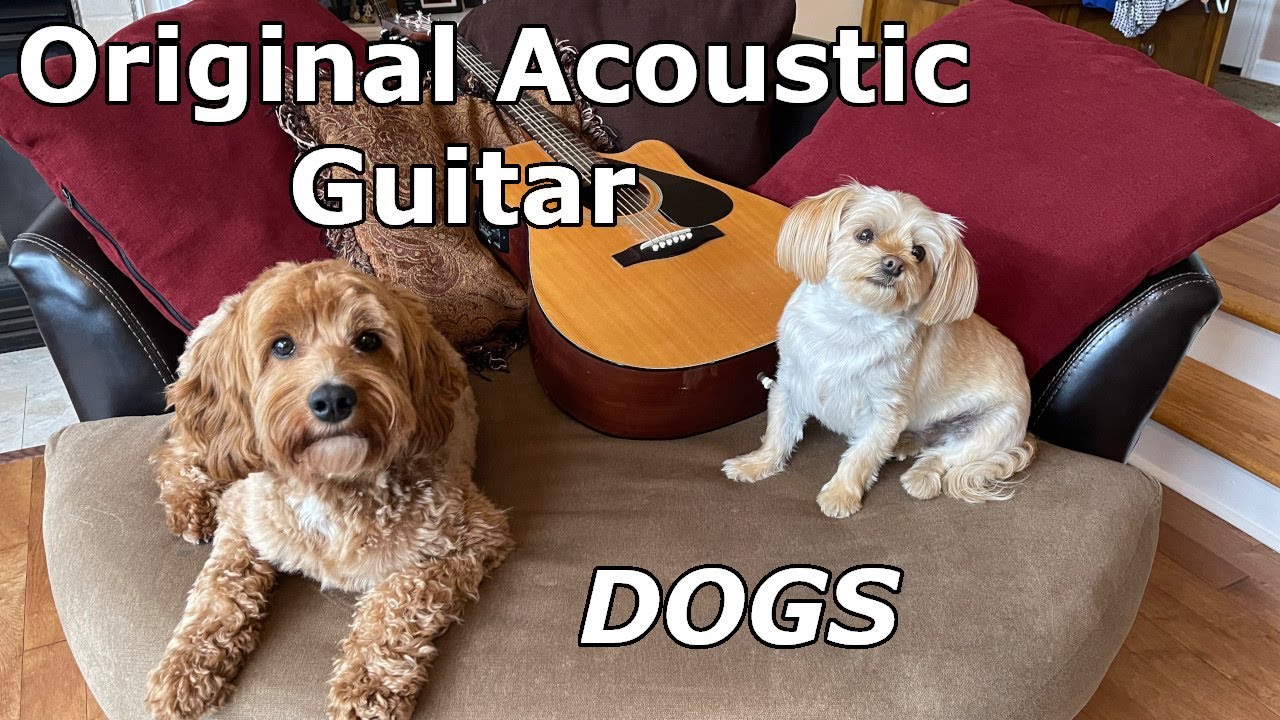 Original Acoustic Guitar | Dogs - YouTube
