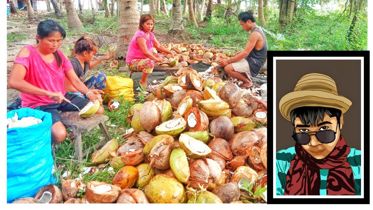 COPRA MAKING || PALAWAN philippines - YouTube