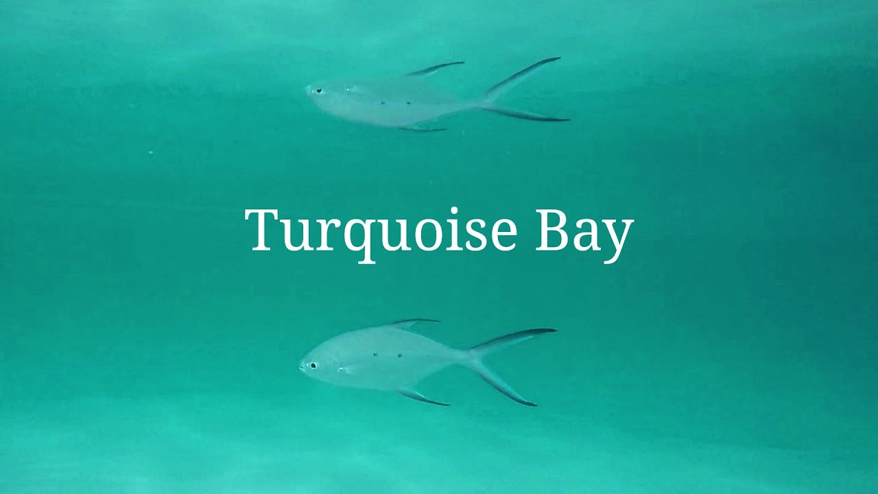 What Lies Beneath - Turquoise Bay, Exmouth W.A. - YouTube