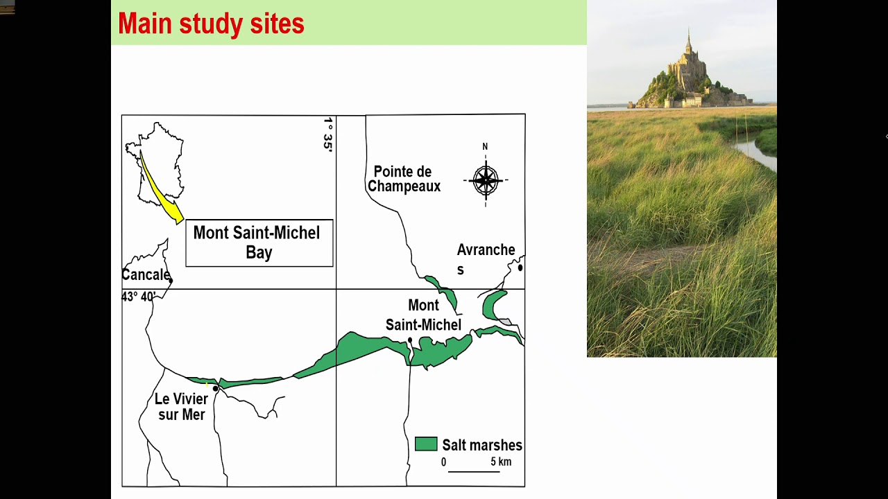 Julien Petillon: Ecology, conservation and functioning of European salt ...