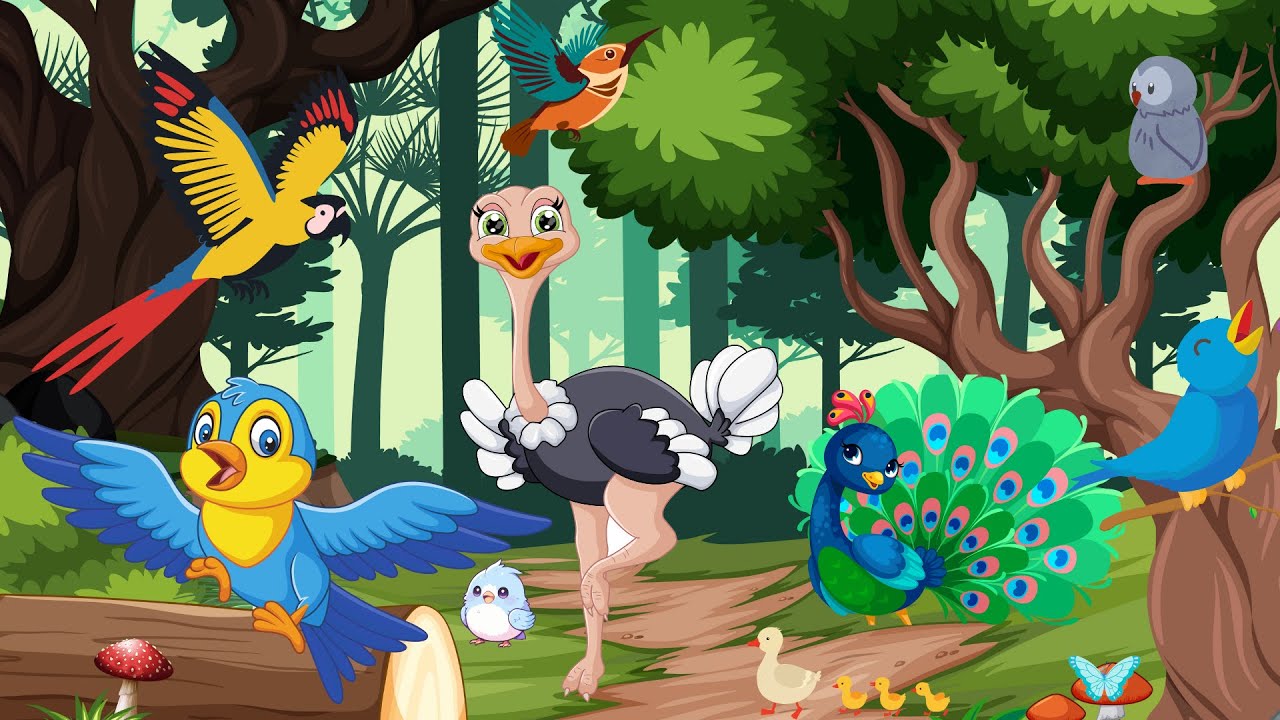 Learn Bird Names for Kids Nursery Rhymes & Kids Songs - YouTube