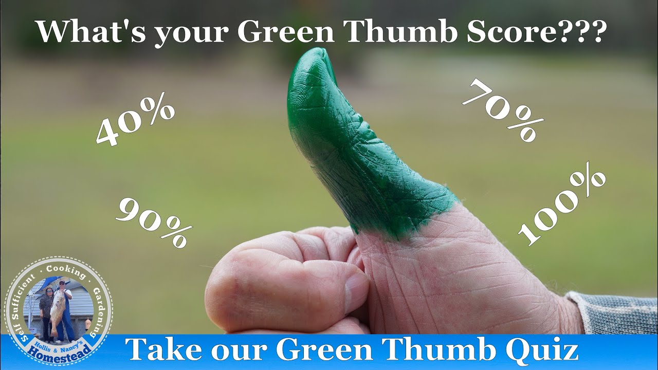 What's your Green Thumb Score??? - YouTube
