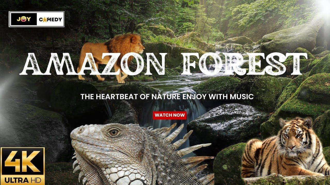 amazon forest | Inside the Most Dangerous Forest on Earth 4k - YouTube