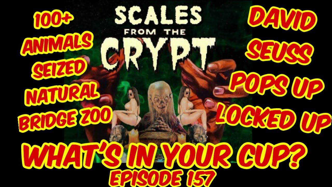 Scales from the Crypt pops up locked up. 100+ animals seized from ...