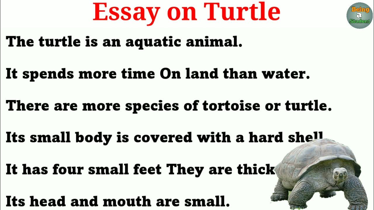 15 lines essay turtle essay in English || Kachhua par essay - YouTube