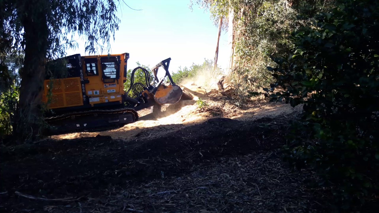 bandit forestry mulcher - YouTube