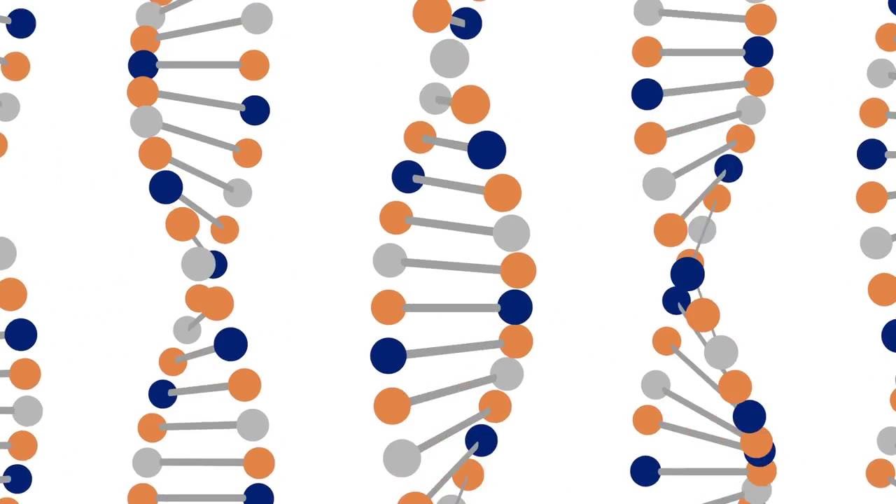 Spot rediseño de logo Promedón - YouTube