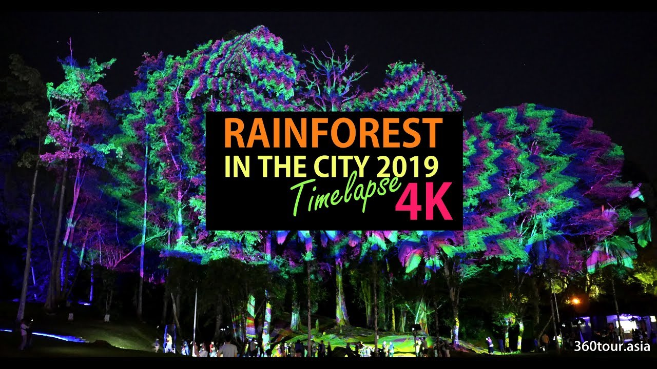 Rainforest in the City 2019 - Timelapse 4k - YouTube
