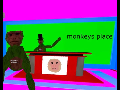 monkeys place is crazy (monkeys place vr) - YouTube