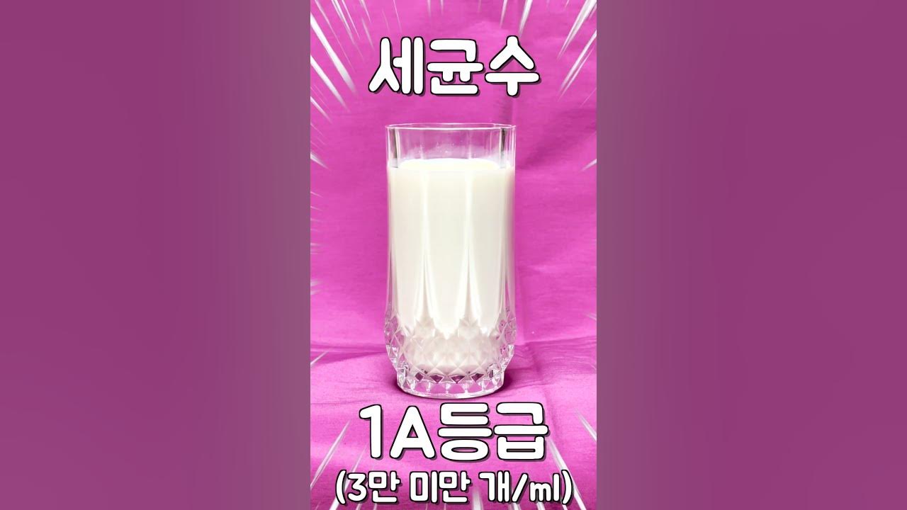 맛있는우유GT 180ml 멸균 흰우유 48팩 - YouTube