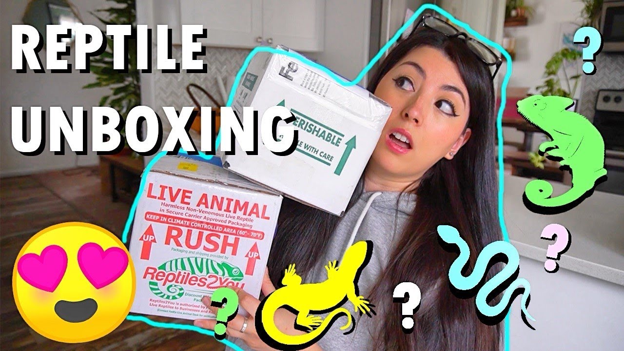 UNBOXING 2 NEW PETS (they're so cute!) - YouTube