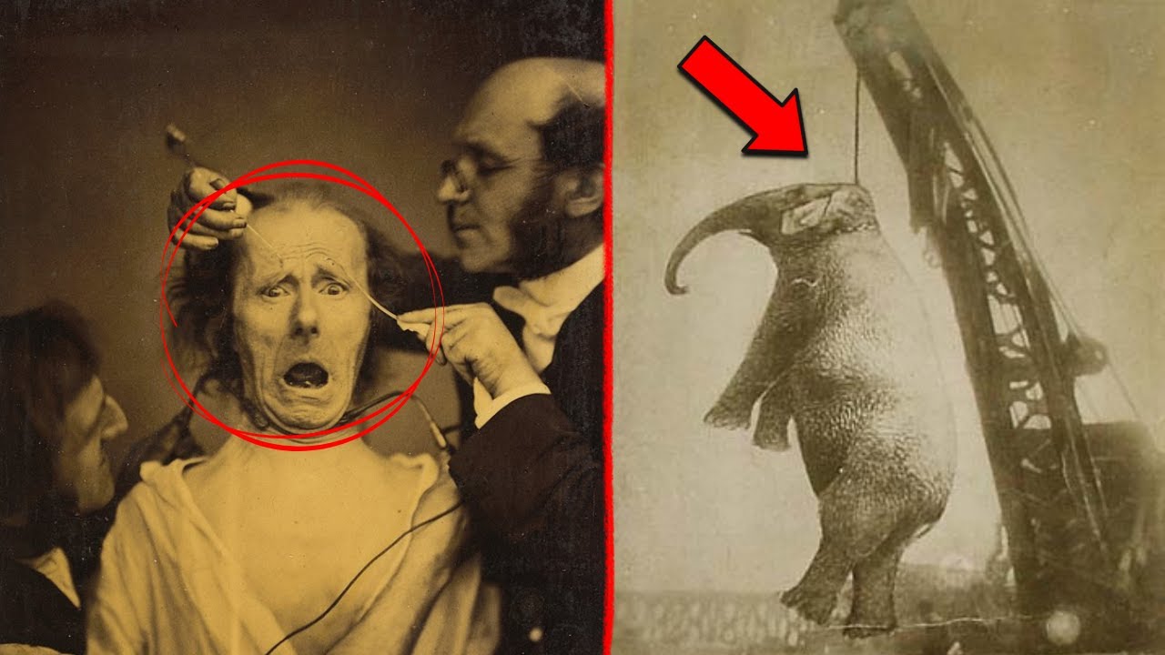 The World’s Strangest Photos Ever Taken in History - YouTube