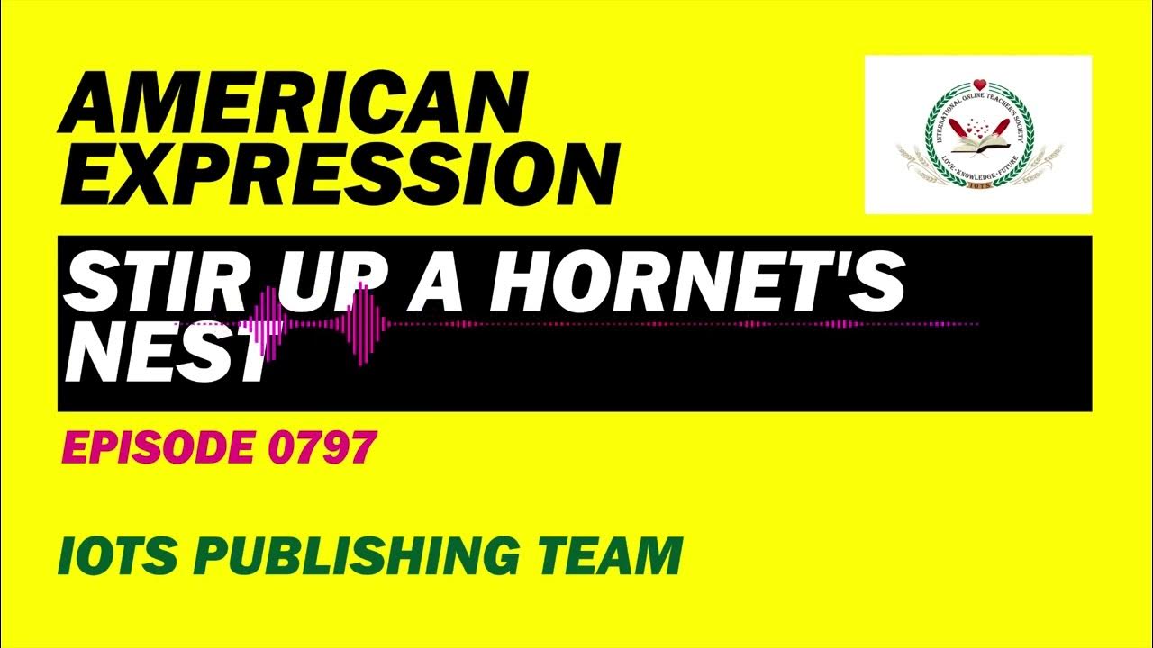American Expression E0797 Stir up a hornet's nest - YouTube