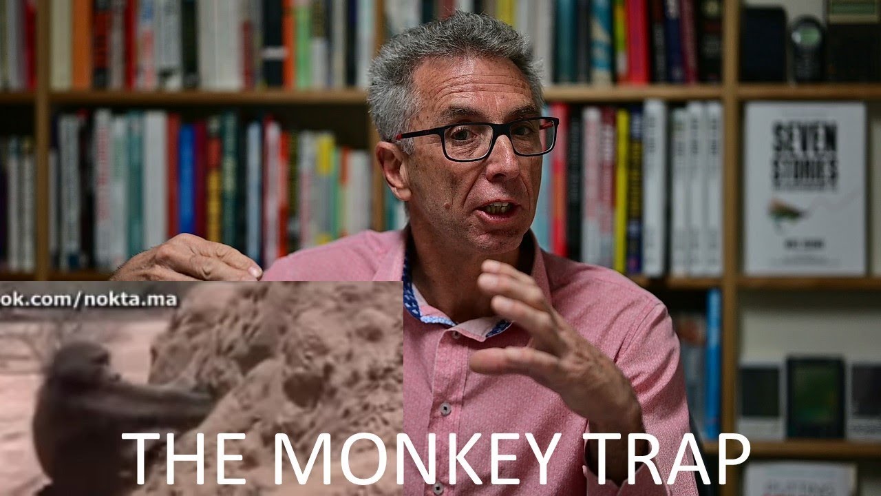 THE MONKEY TRAP - YouTube