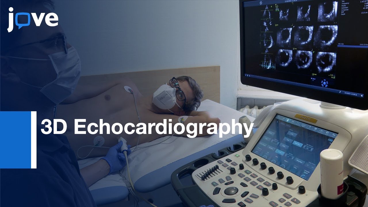 Evaluation Left Ventricular Structure And Function Using 3d Echocardiography L Protocol Preview