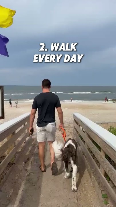 I did this to become 10x more productive - YouTube