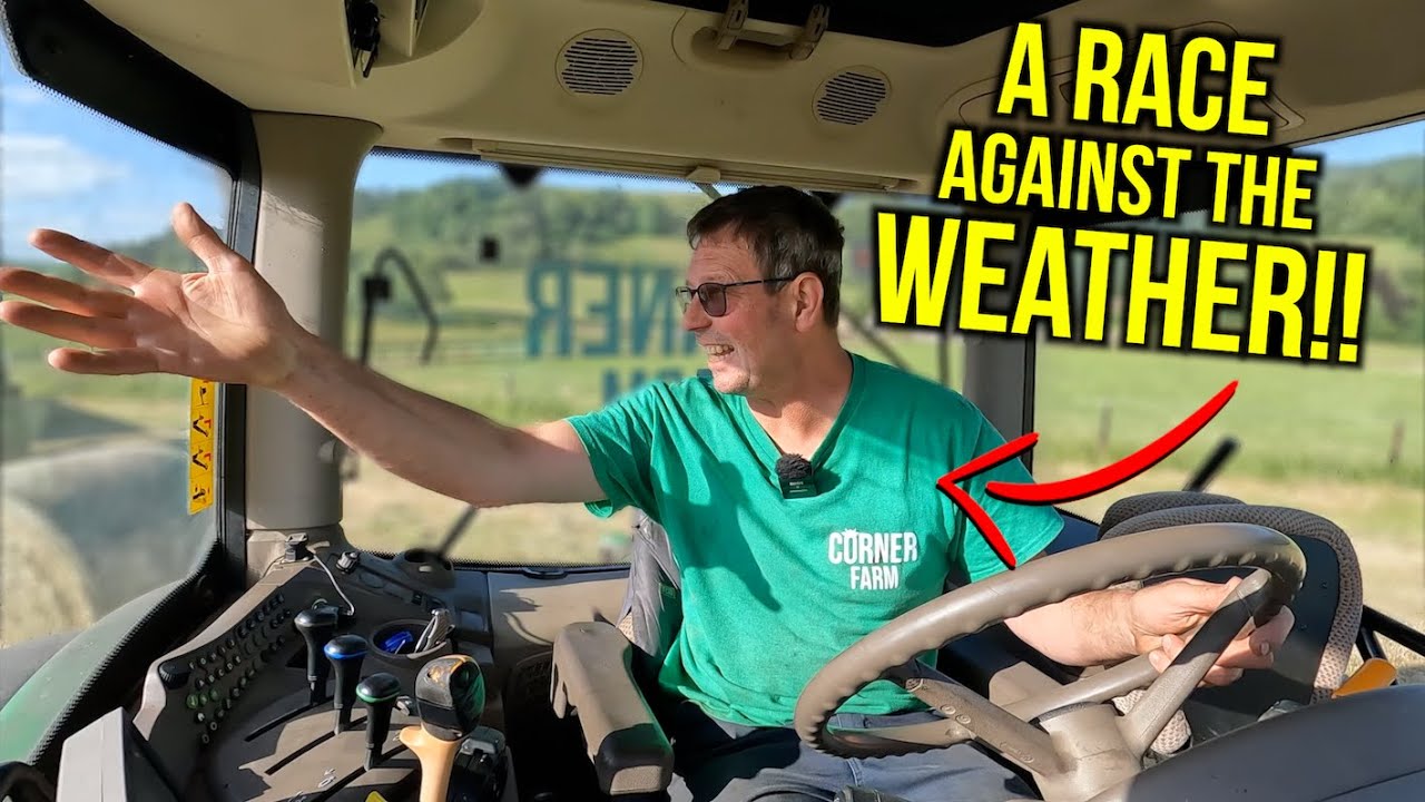 Splitting our straw bales with local farmer, but do we have enough ...