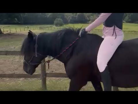 Ride Sherlock,BAREBACK & BITLESS,With Me! - YouTube