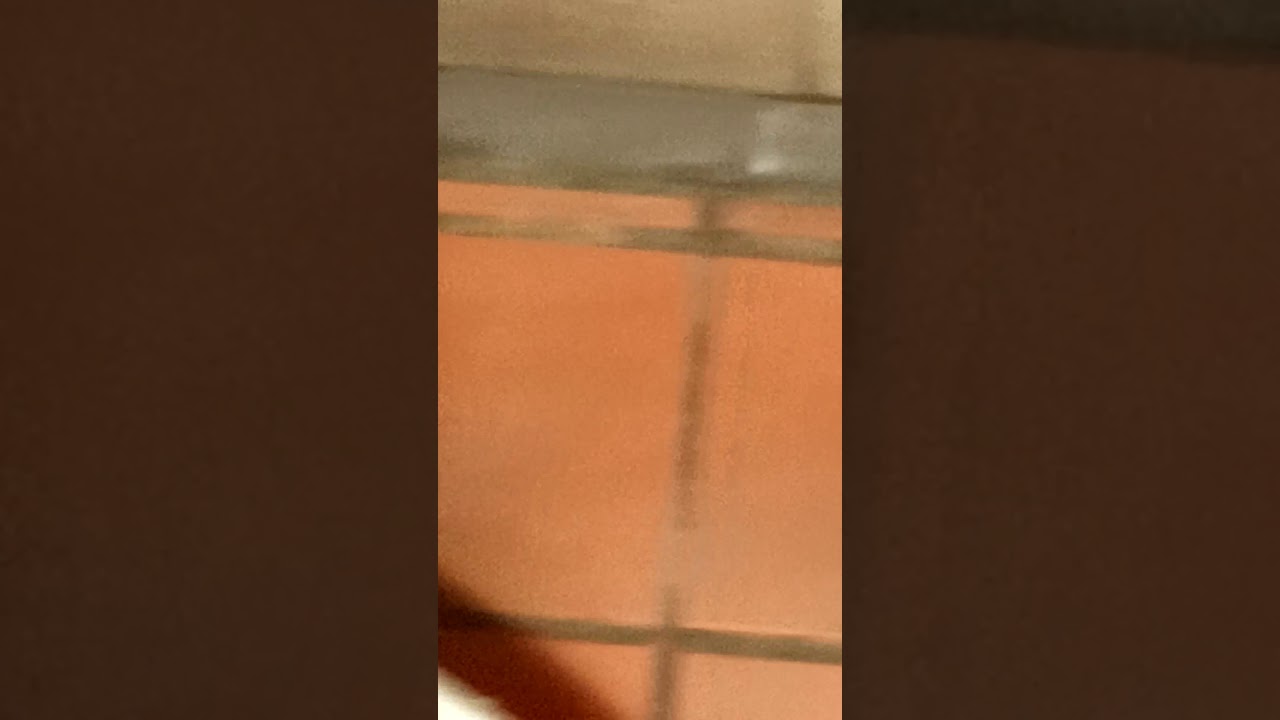 Disgusting QT gas station - YouTube