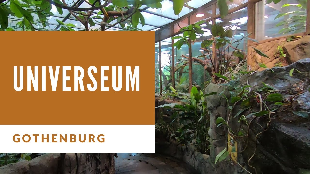 Universeum in Gothenburg - YouTube
