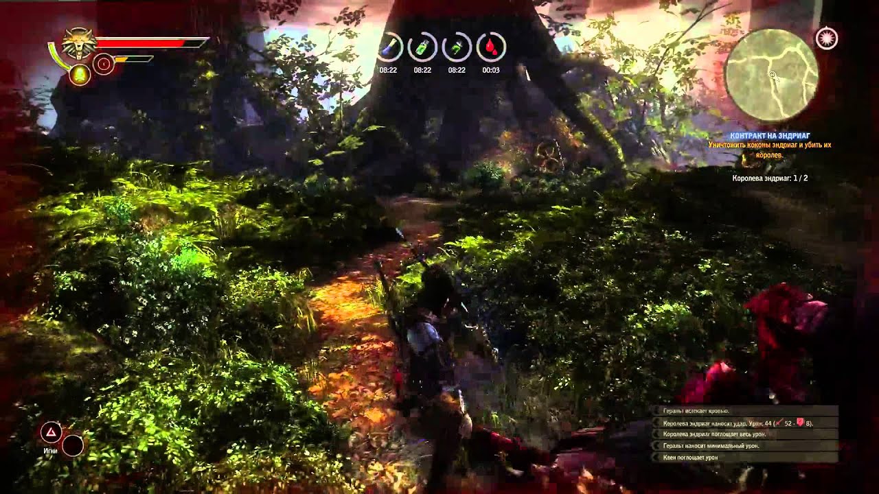 The Witcher 2 - Fight with an Monster-Bug - YouTube