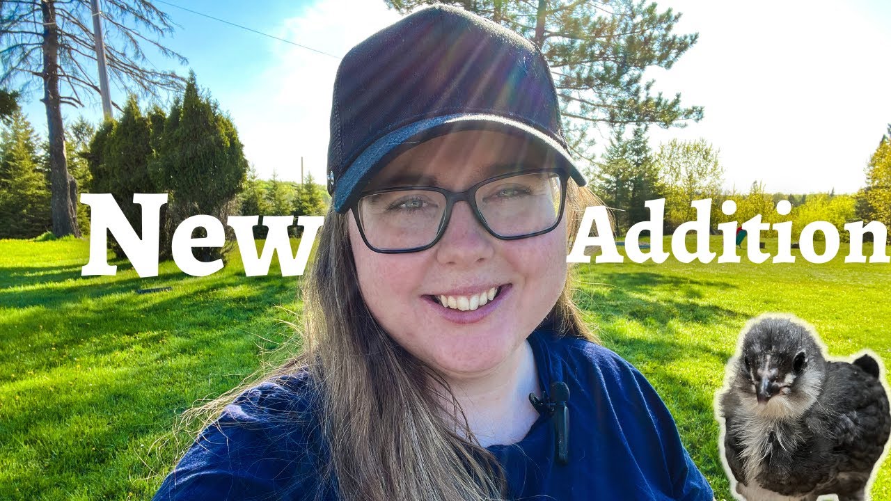 New Addition to the Farm VLOG | WE GOT CHICKS ! - YouTube