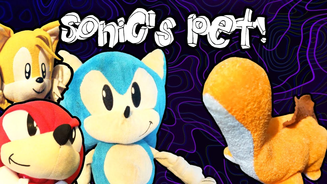 Sonic's Pet! - SM&S - YouTube
