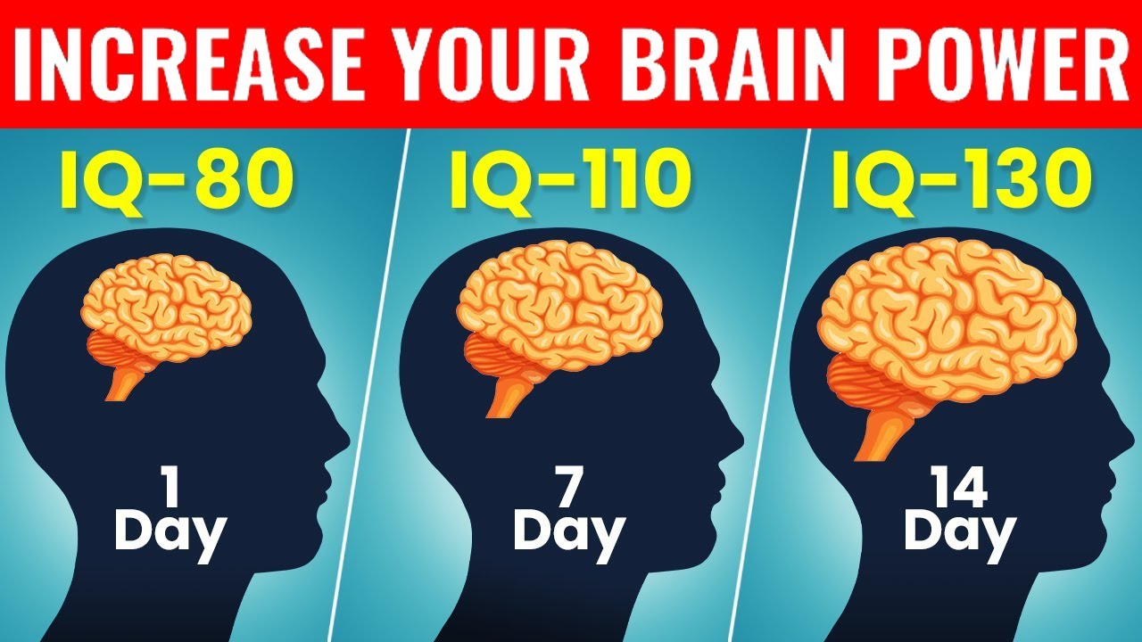 How to Increase Your Brain Power In English | How to Improve Memory ...