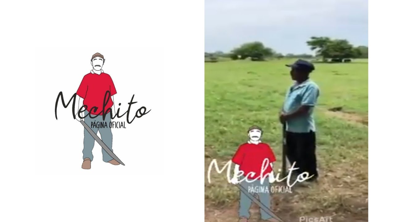Mi primera CASERA* Historia Mechito... - YouTube