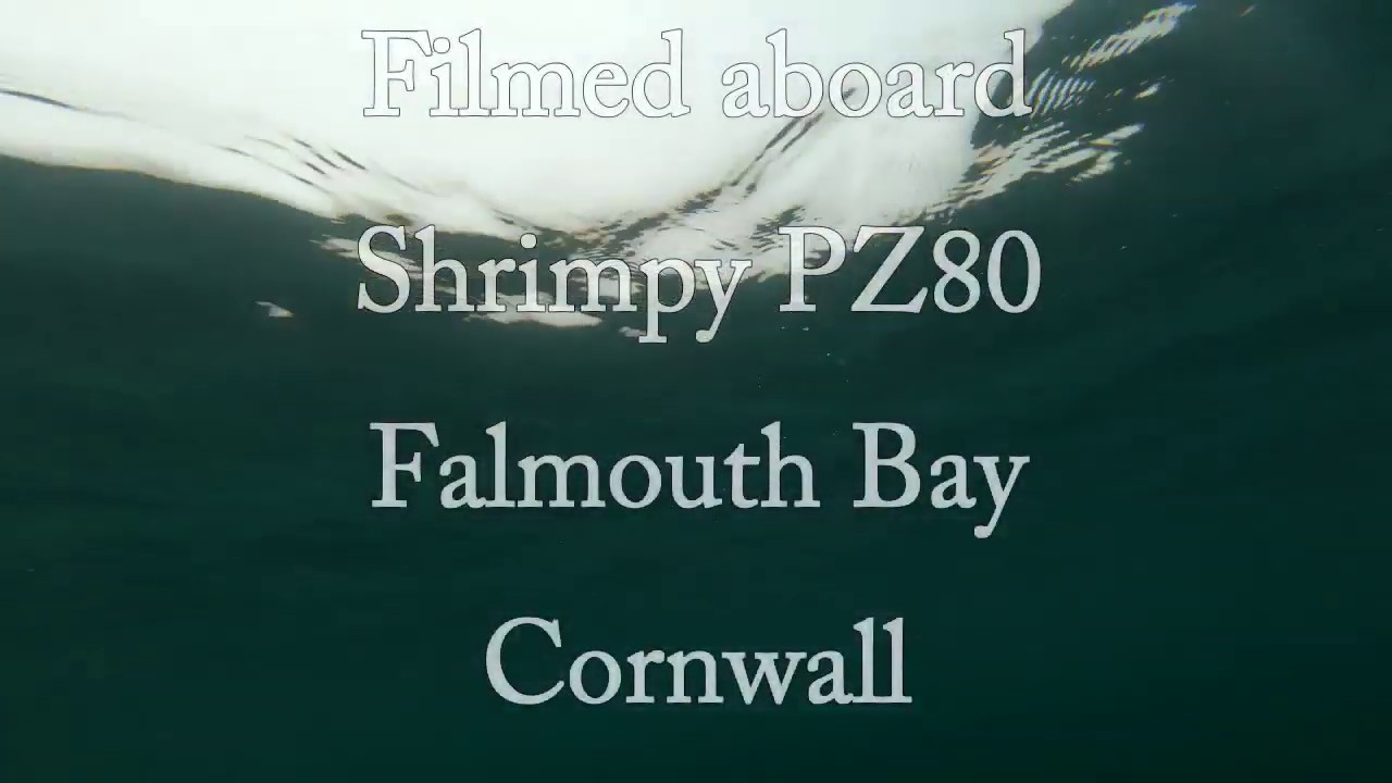 Shaking Hands with an Octopus in Falmouth Bay - YouTube