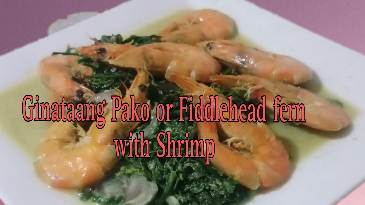 Ginataang Pako or Fiddlehead fern with Shrimp - YouTube