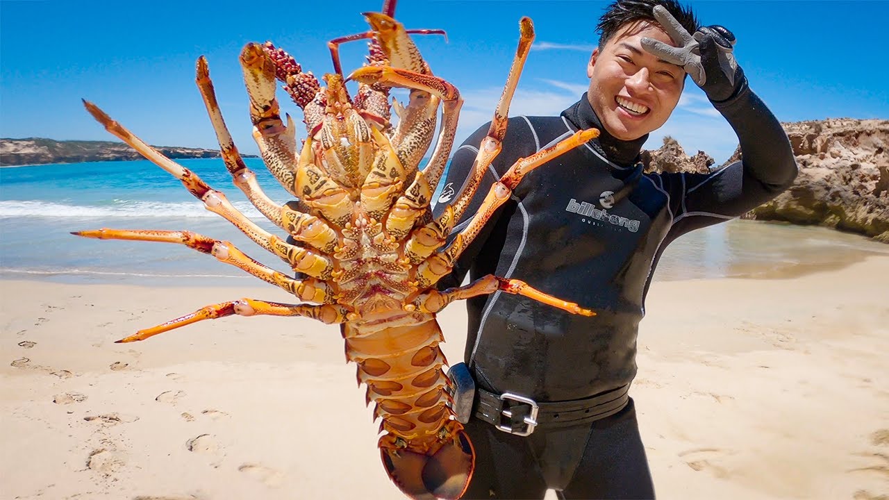 Wrangling Monster Crayfish South Australia! - YouTube