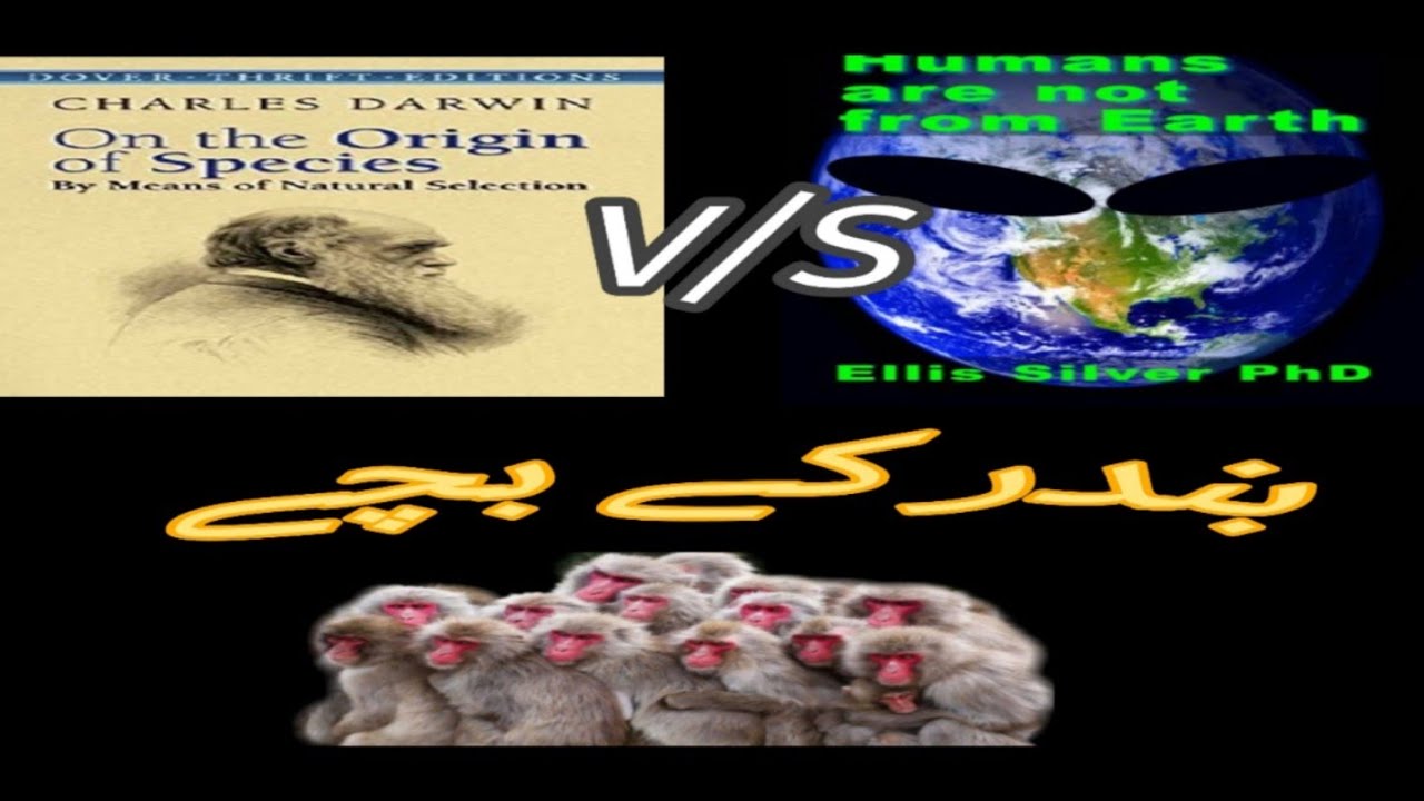بندر کے بچے dARWIN'S tHEORY V/S eLLIS'S tHEORY #darwin #ellis silver # ...