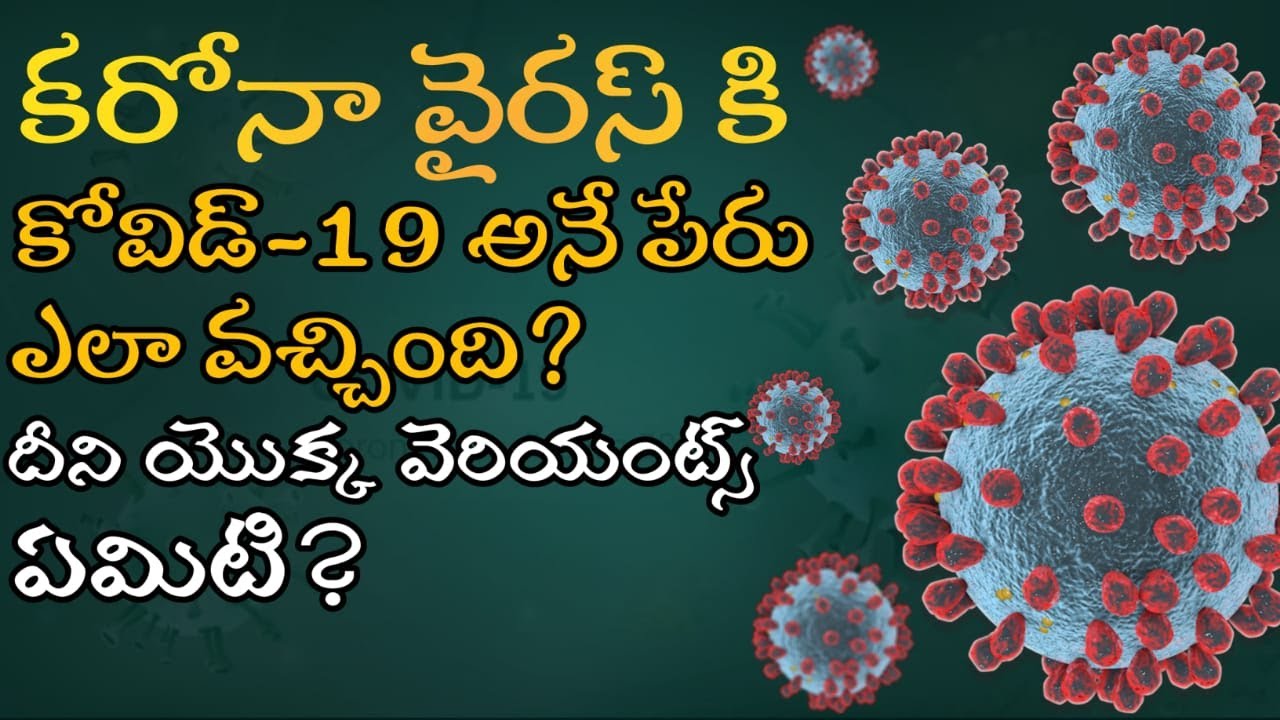 What is corona virus | How did the corona virus get its name COVID-19 ...
