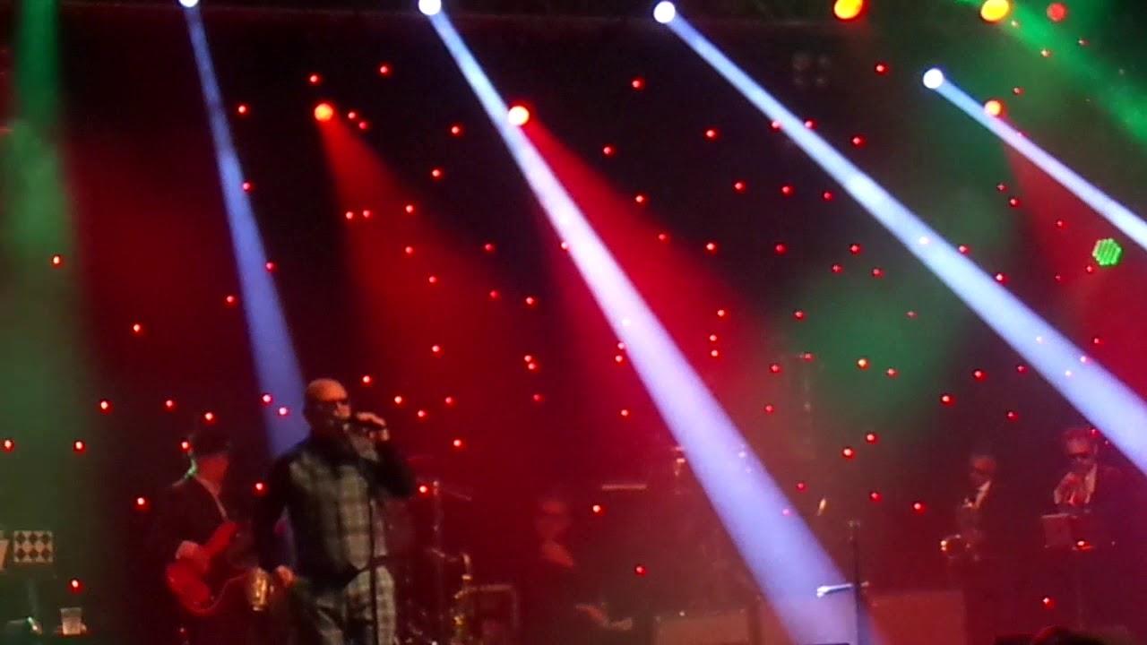 "Mumbo Jumbo": Madness @ Live club, Trezzo-Italy - YouTube