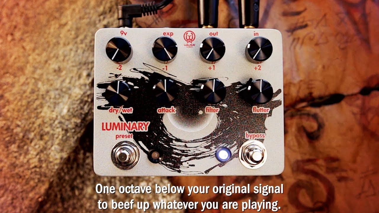Walrus Audio Luminary presented by 60 Cycle Hum - YouTube