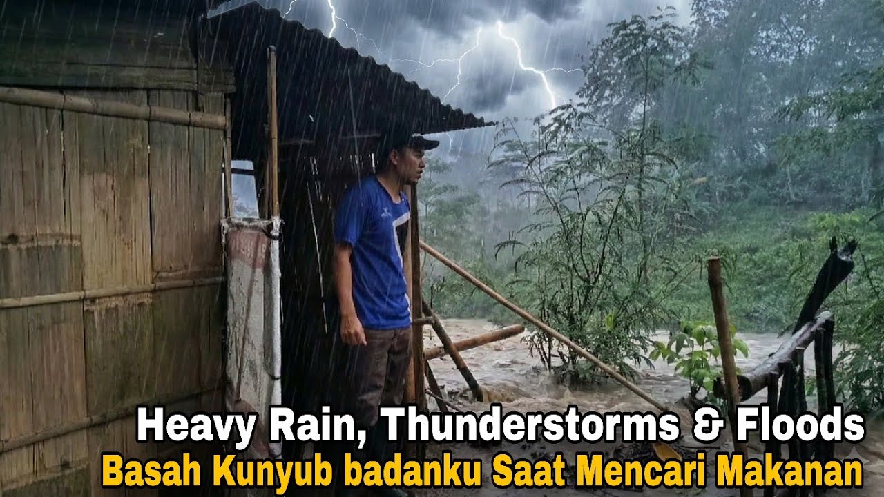 Finding Food During Heavy Rain and Thunderstorms, Living in the Forest ...