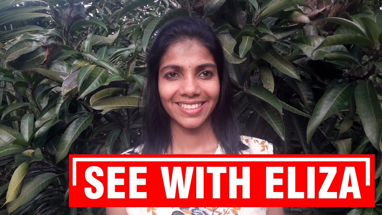 Introduction video of See with Eliza | See with Eliza - YouTube