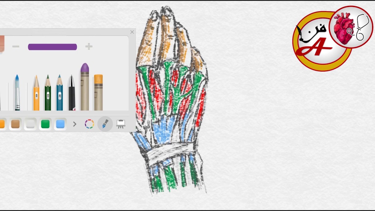 Anatomical drawing of the hand in an artistic way - YouTube