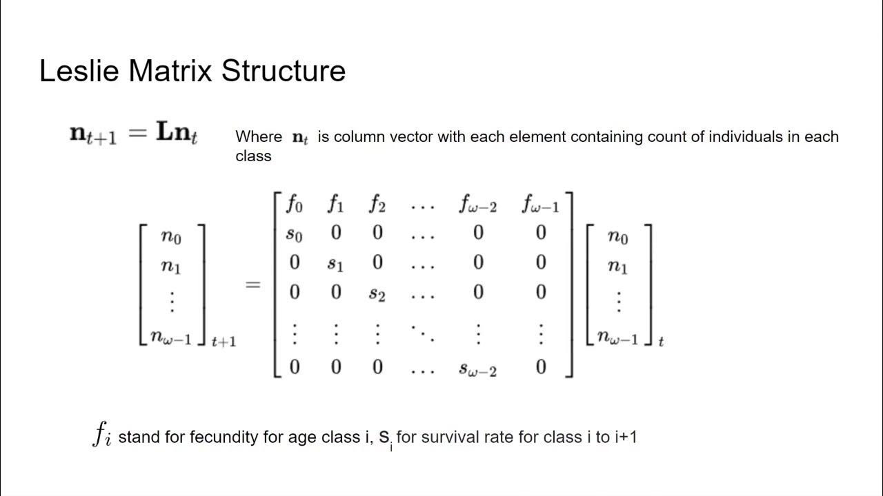 Population Growth Modelling Using Leslie Matrices - YouTube