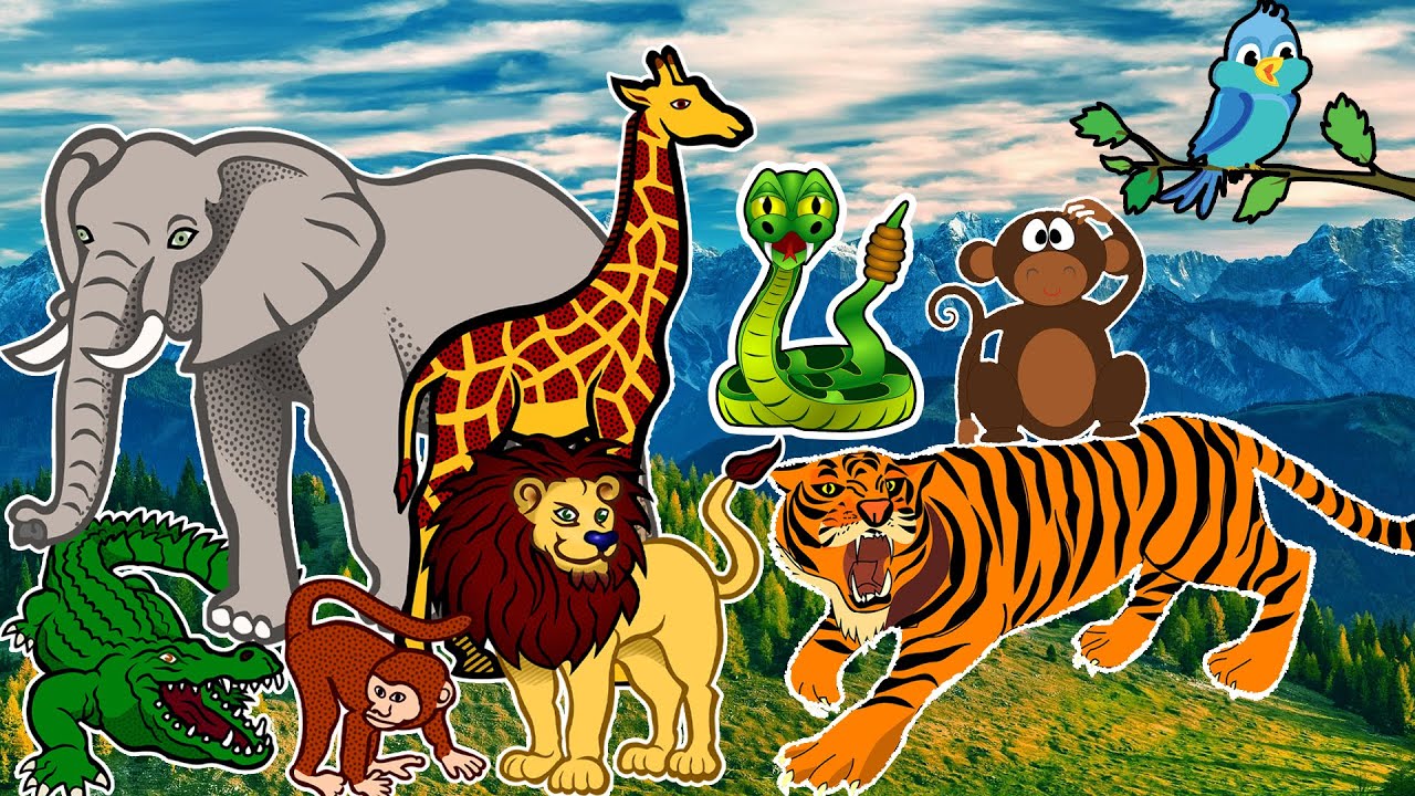 How Animals Eat Turtle, Elephant, Snake, Squirrel, Monkey, Rhinoceros ...