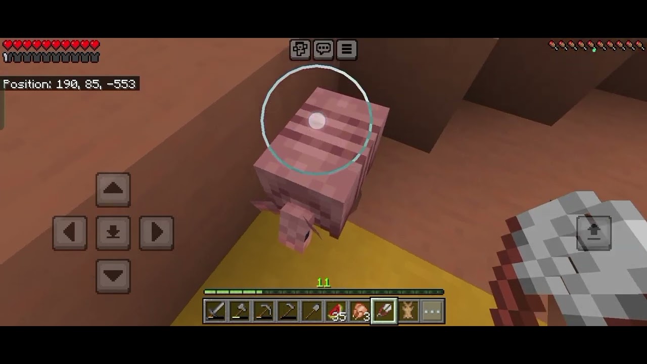 Catching an Armadillo and get the new DOG ARMOUR. Minecraft Bedrock ...