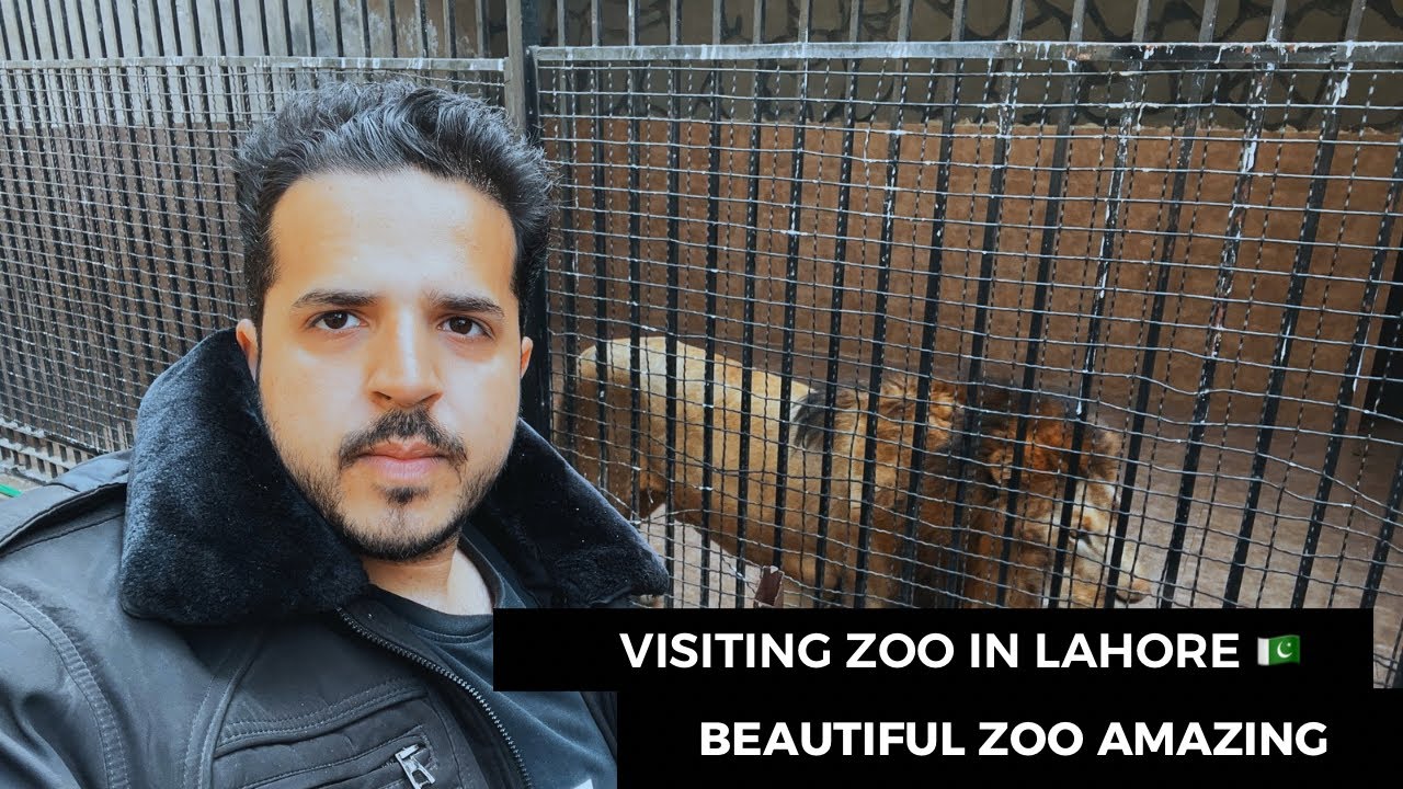 Visiting zoo in lahore | beautiful zoo amazing experience animals 🇵🇰 ...