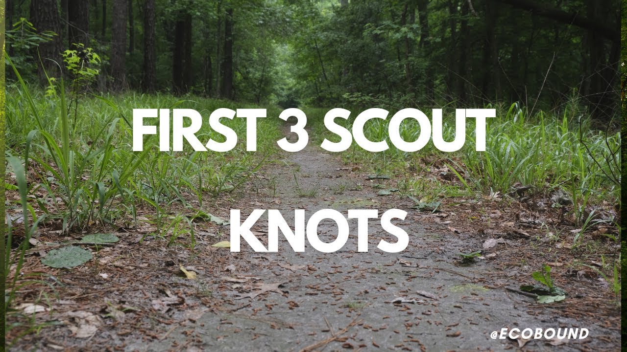 First 3 knots scouts learn...Square, two half hitch and taught line ...
