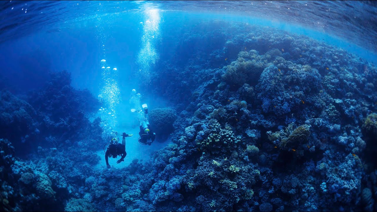 10 amazing facts about the ocean | Amazing Earth - YouTube