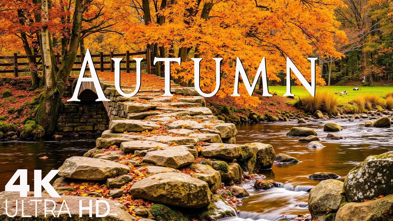 Enchanting Autumn Forests With Beautiful Piano Music 🍂 4K UHD Autumn ...