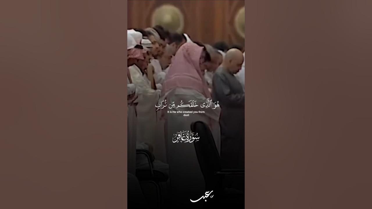 هو الذي خلقكم من تراب ثم من نطفة ثم من علقة ثم من مضغة سورة غافر