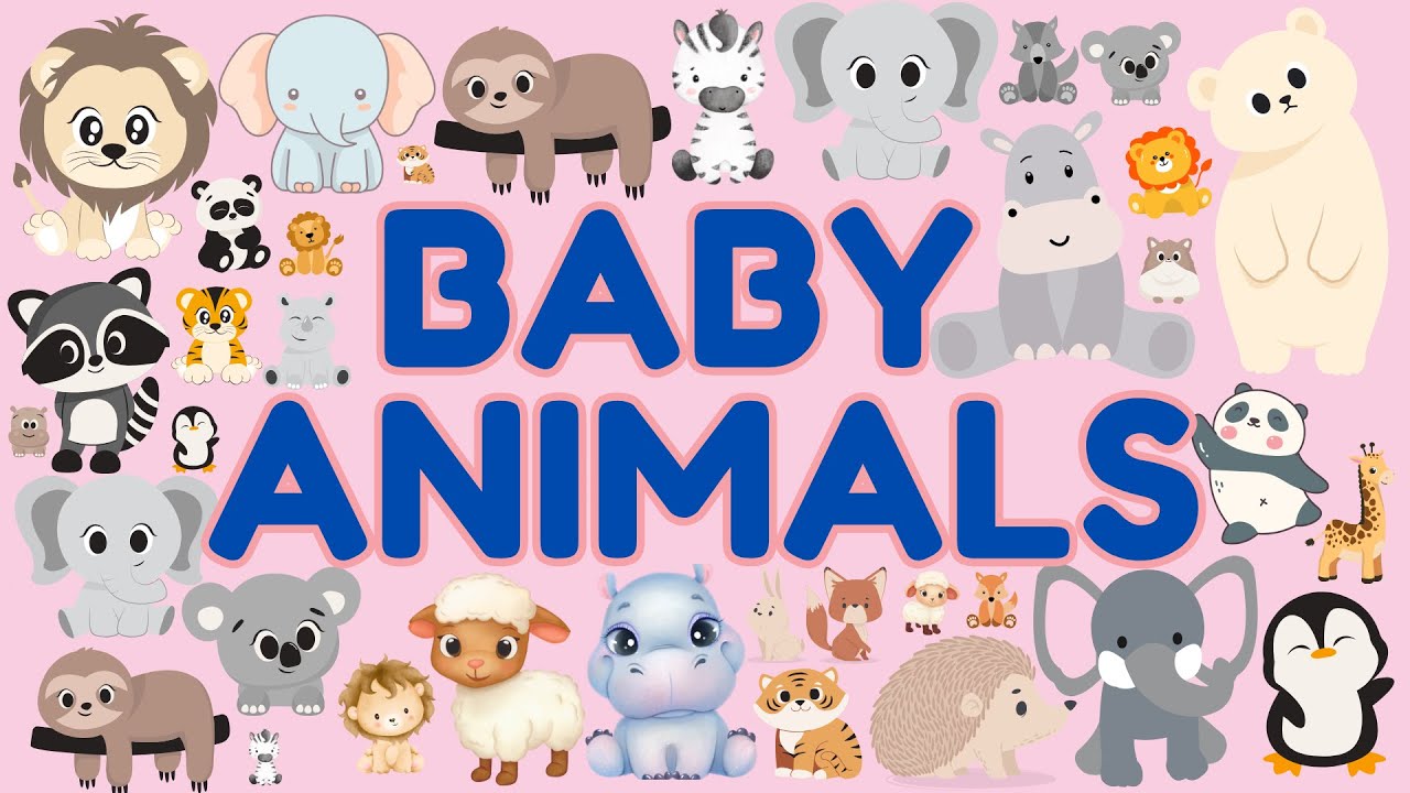 17 Adorable Animal Babies & Their Parents | Educational Video for Kids ...