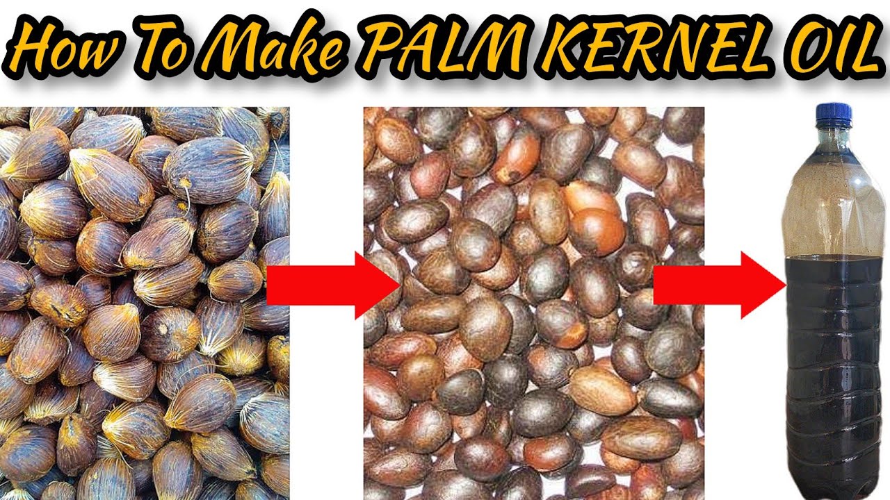 DIY on how to make UNDILUTED PURE PALM KERNEL OIL from SCRATCH to ...