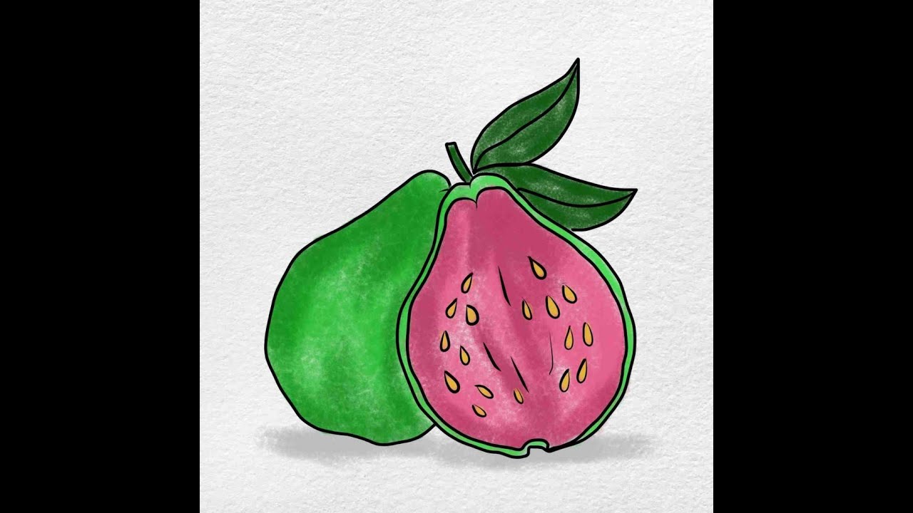 Guava drawing and colouring # how to draw guava # easy step art, for ...